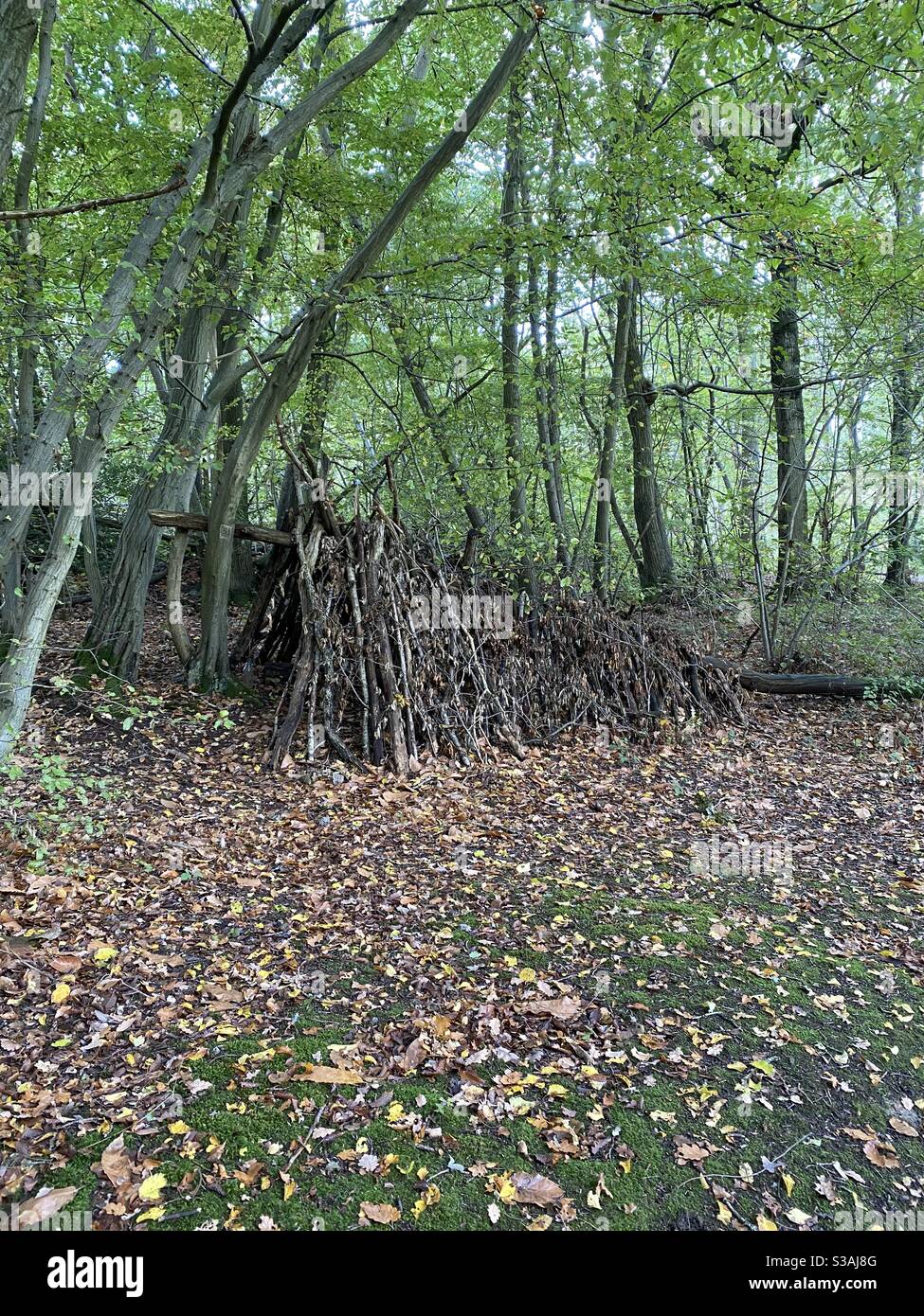Den building hi-res stock photography and images - Alamy