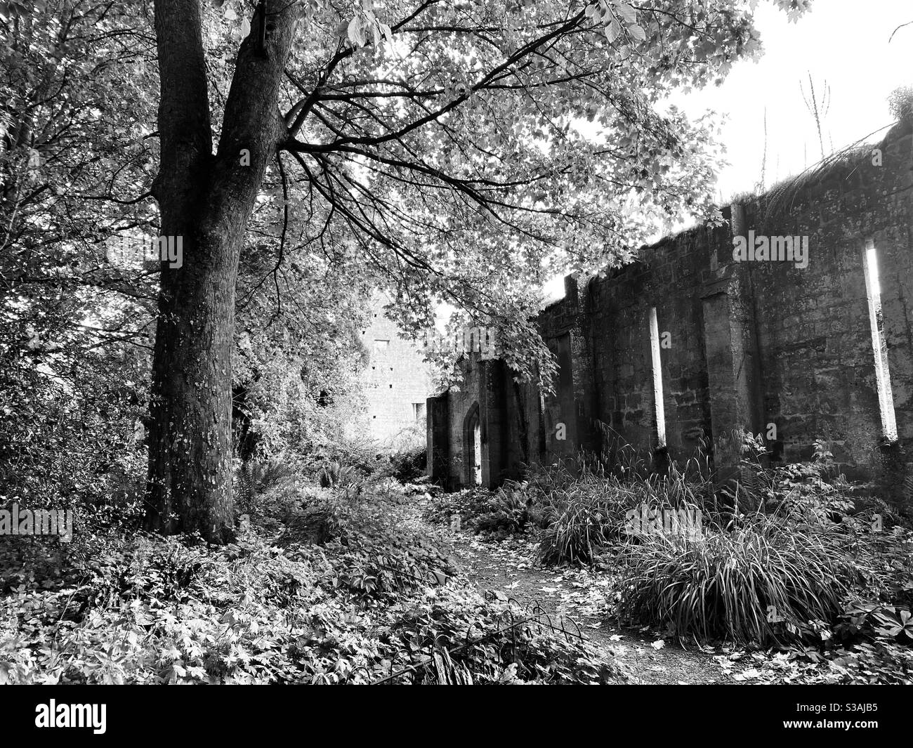 Castle destroyed hi-res stock photography and images - Alamy