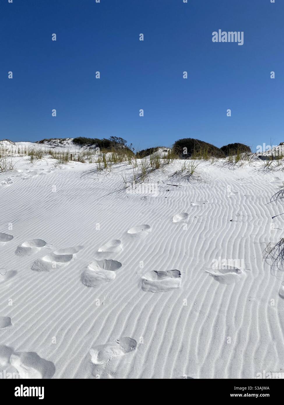 White sand dunes on Fort Walton Florida public beach with deep ...