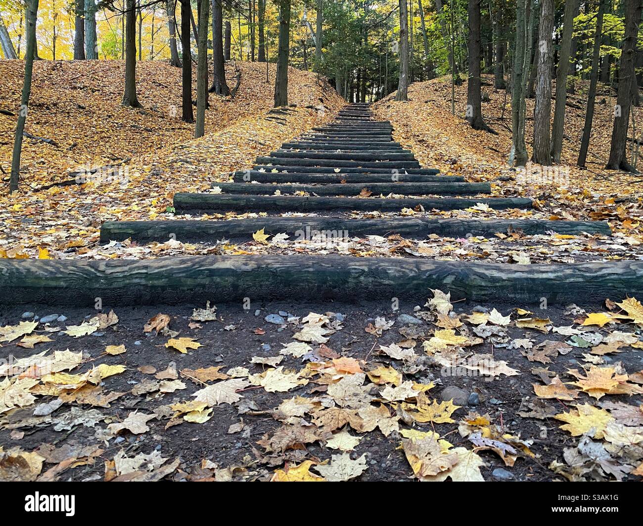 Log stairs hi-res stock photography and images - Alamy
