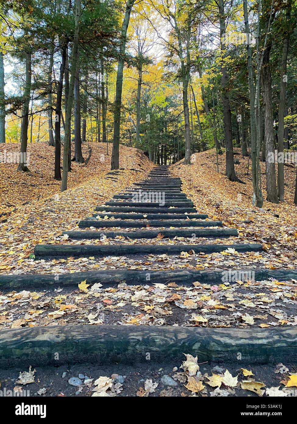 Log stairs hi-res stock photography and images - Alamy