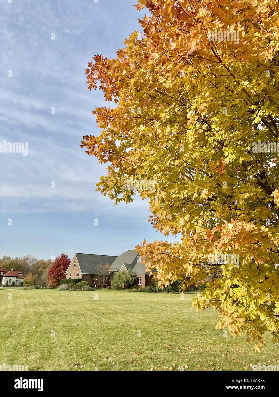 Maple house hi-res stock photography and images - Alamy