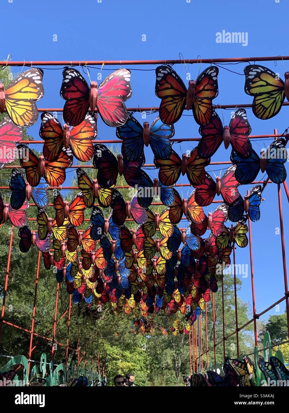 Butterfly display hi-res stock photography and images - Alamy