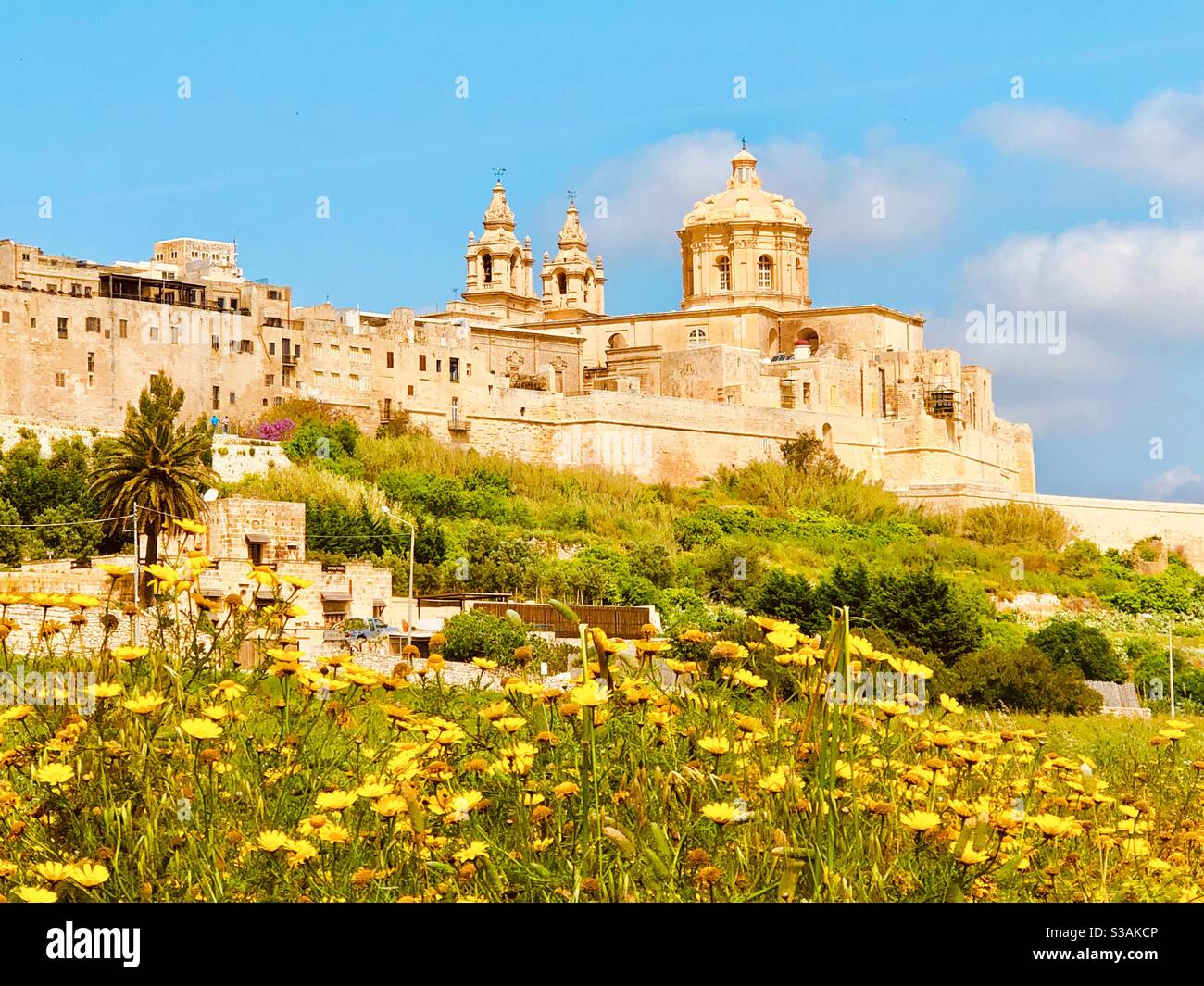 Spring flowers in malta hi-res stock photography and images - Alamy