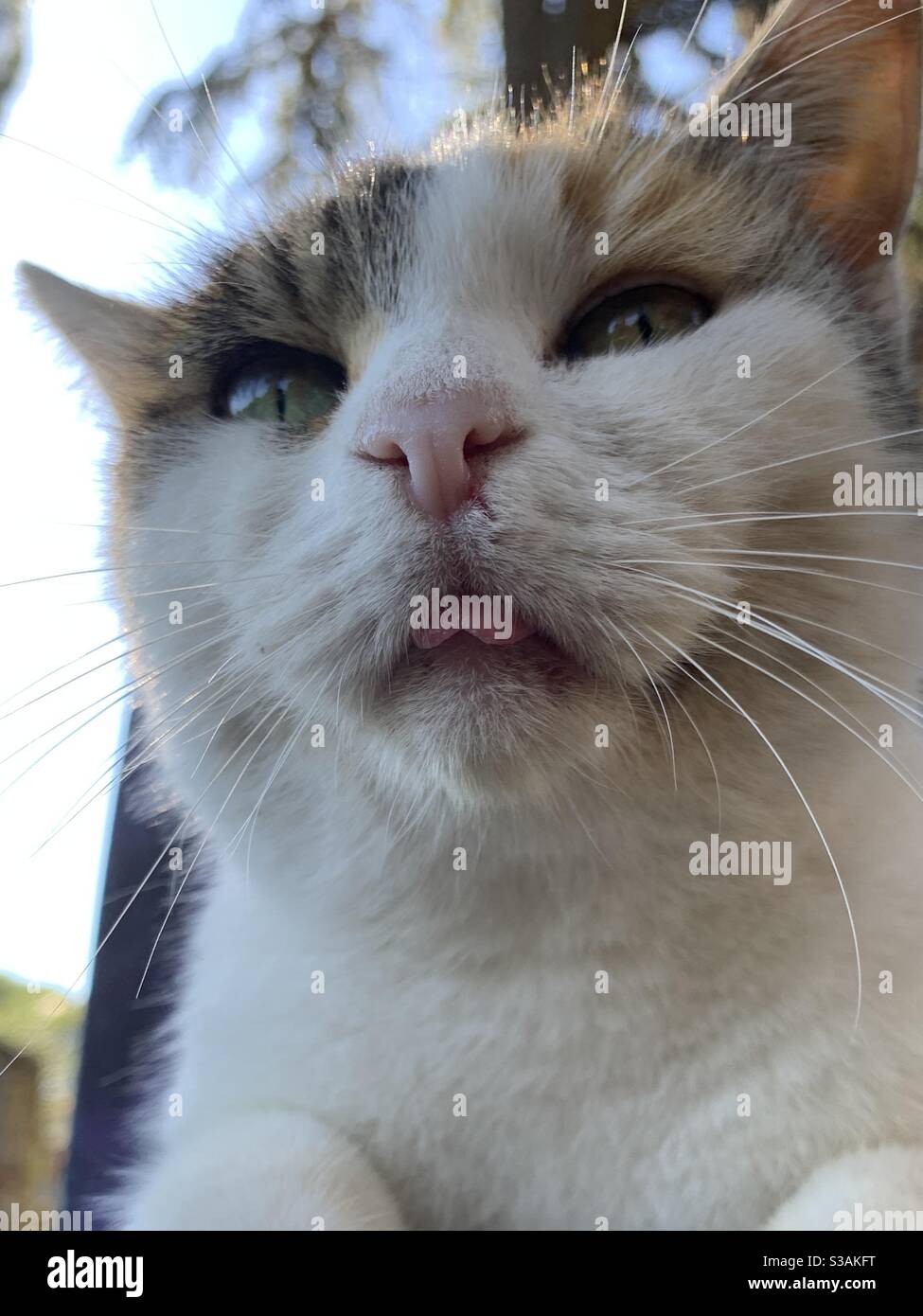 Cuddles hi-res stock photography and images - Alamy