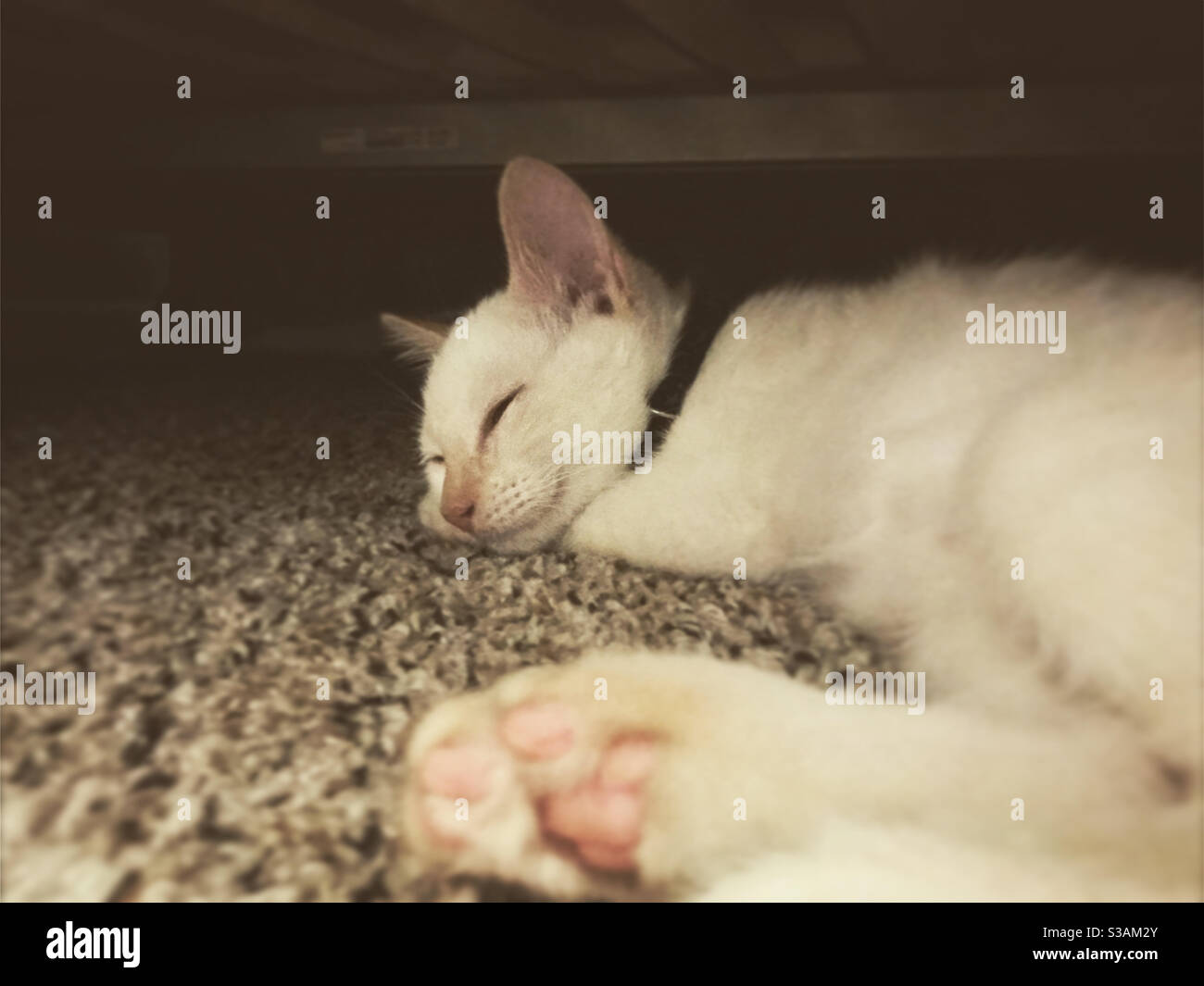 Naps hi-res stock photography and images - Alamy