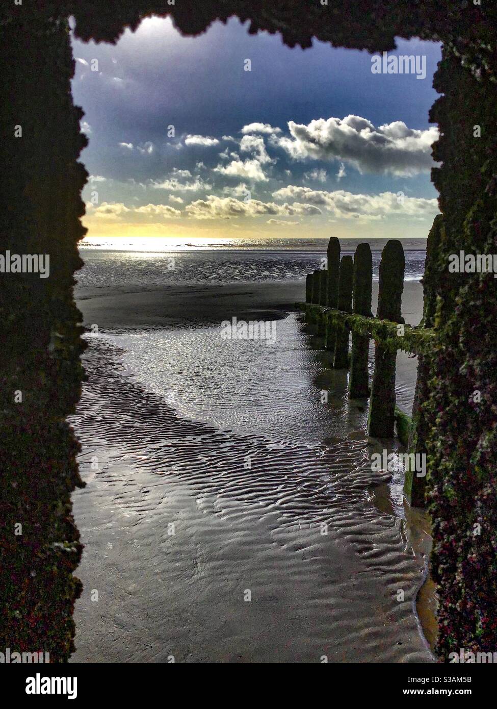 Sea posts on the beach Stock Photo - Alamy