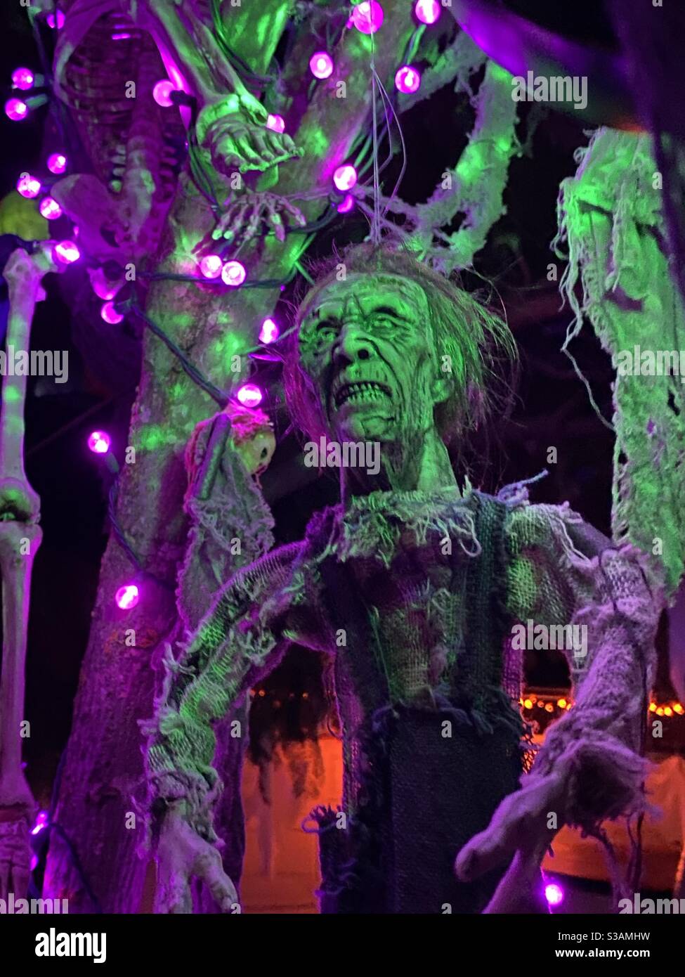 Dead zombie undead hi-res stock photography and images - Alamy