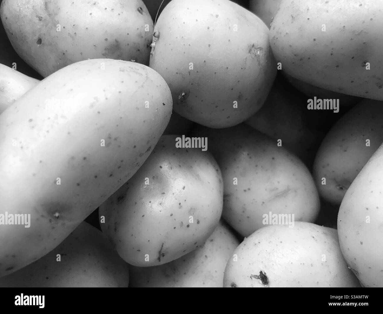 monochrome potatoes in a pile Stock Photo - Alamy