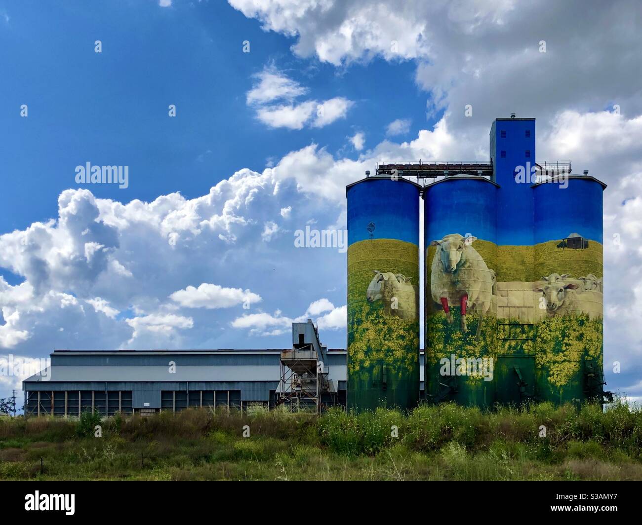 Merriwa silo art hi-res stock photography and images - Alamy