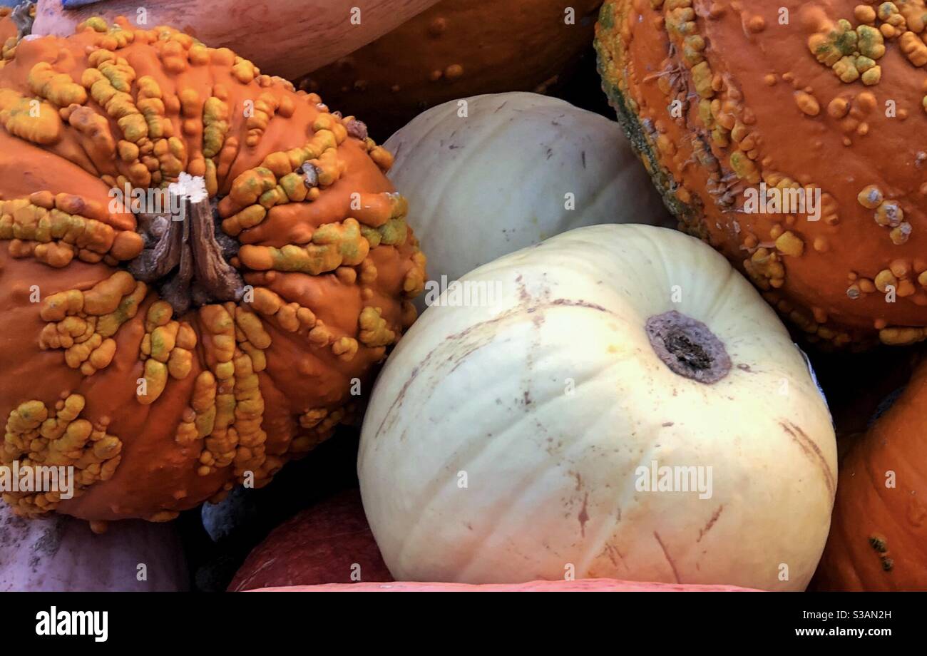 Chilly Weather High Resolution Stock Photography and Images - Alamy