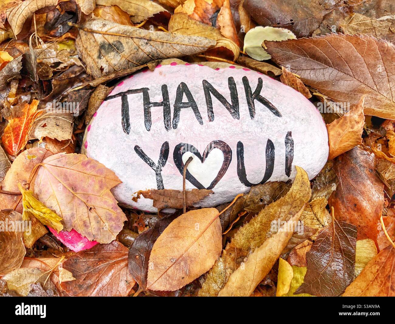 Thank you painted on a rock Stock Photo - Alamy