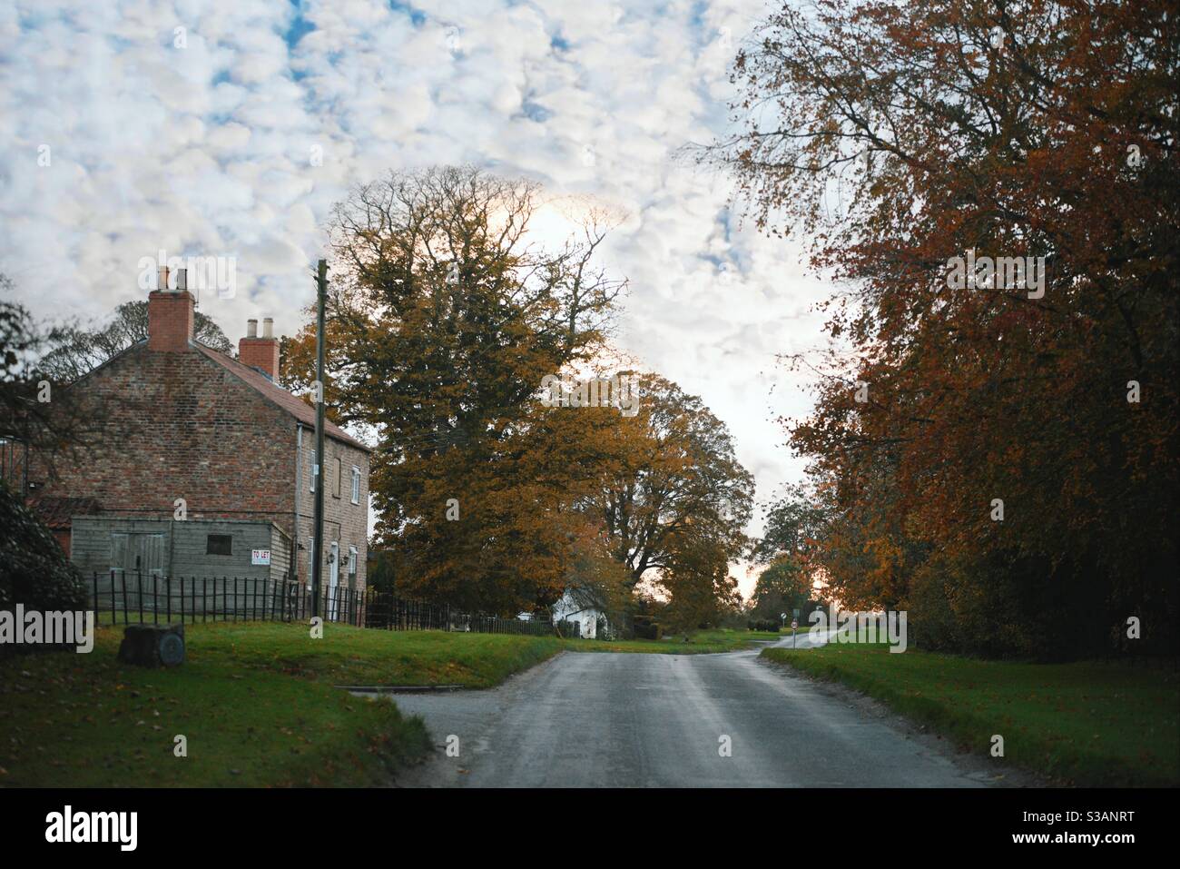 Trees in yorkshire hi-res stock photography and images - Alamy