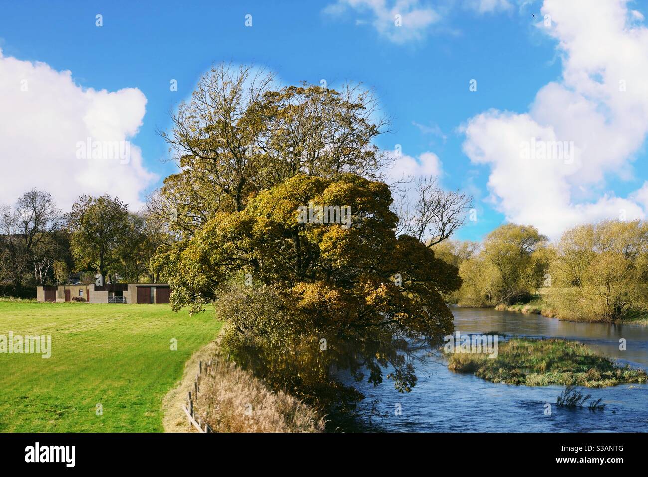 Riverside scenery riverbank hi-res stock photography and images - Alamy