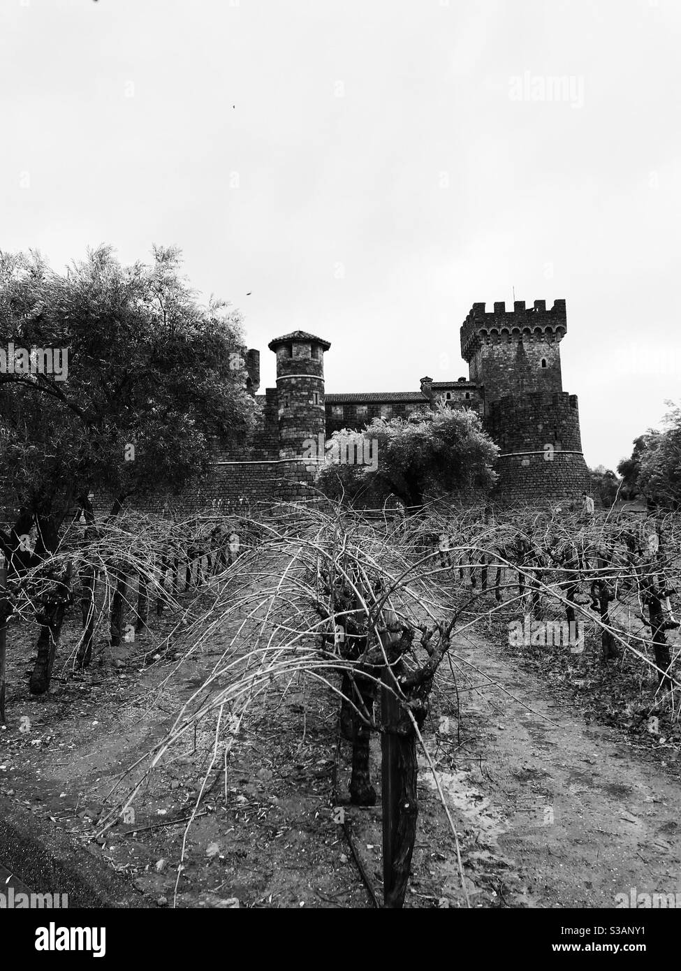 White castle vineyard Black and White Stock Photos & Images - Alamy
