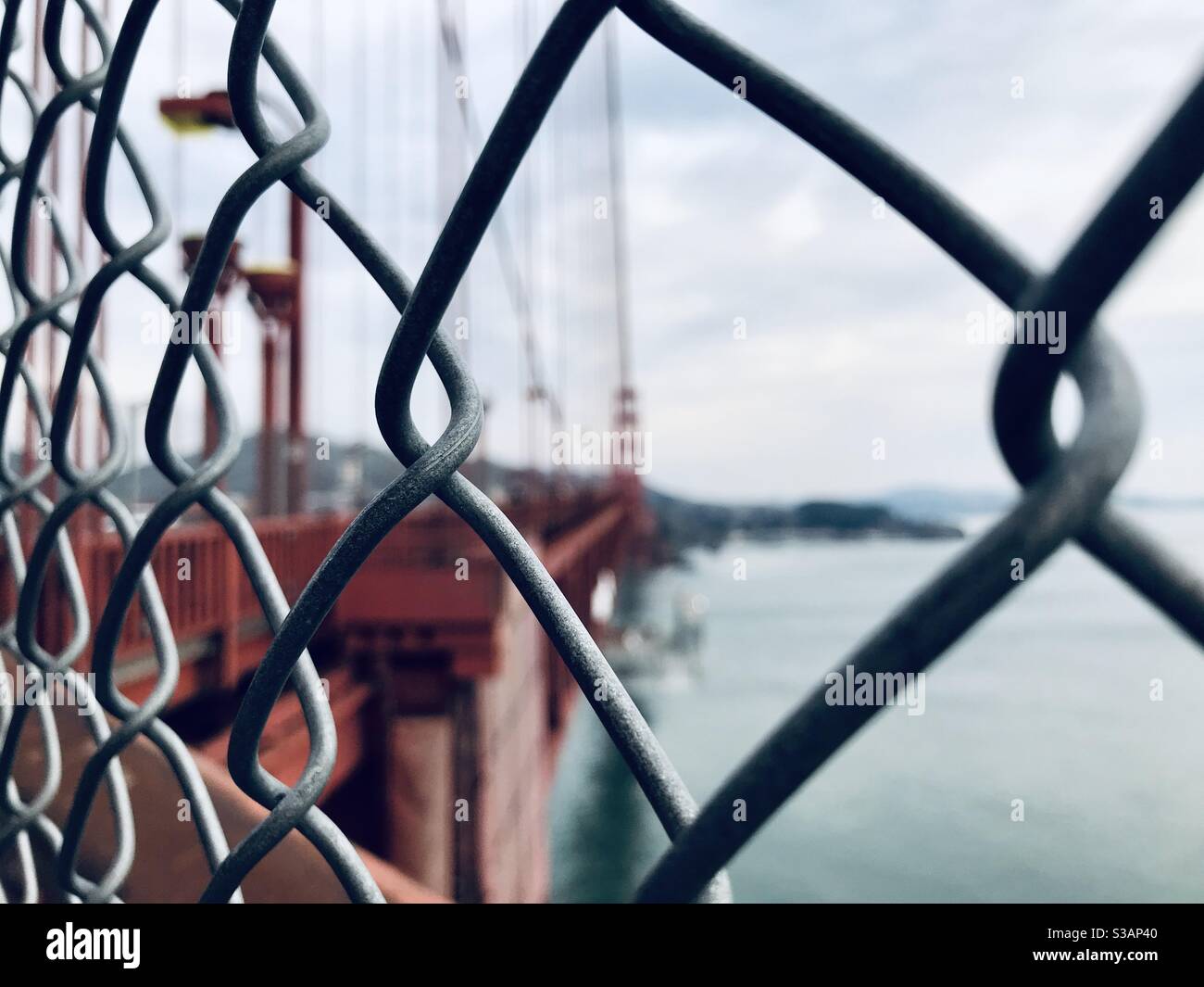 looking through fence Stock Photo - Alamy