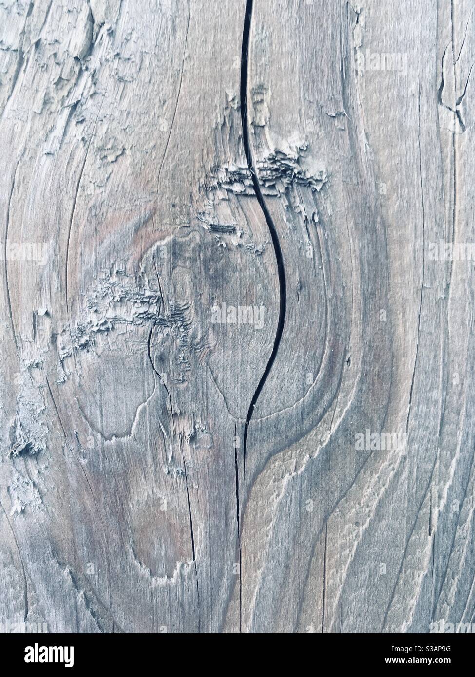 Blue grey wood grain texture hi-res stock photography and images - Alamy