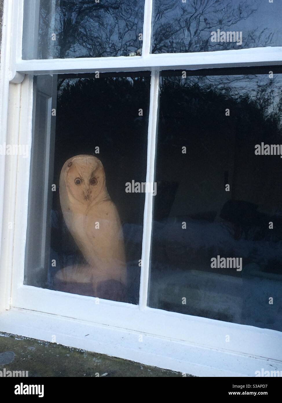 Nature rural owl hi-res stock photography and images - Alamy