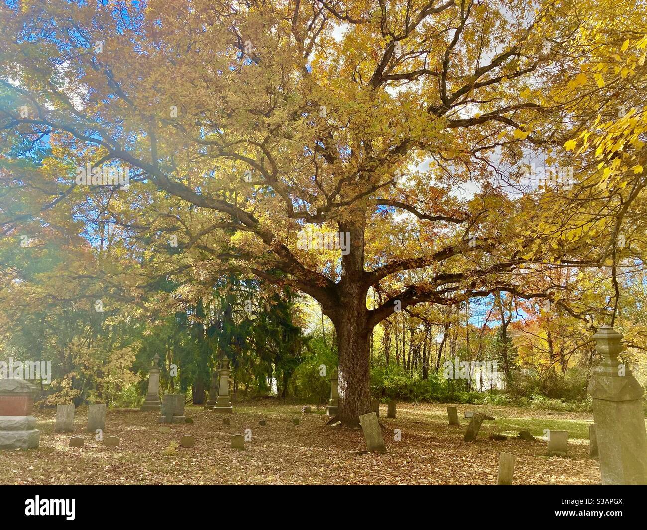 Graveyard fall hi-res stock photography and images - Alamy