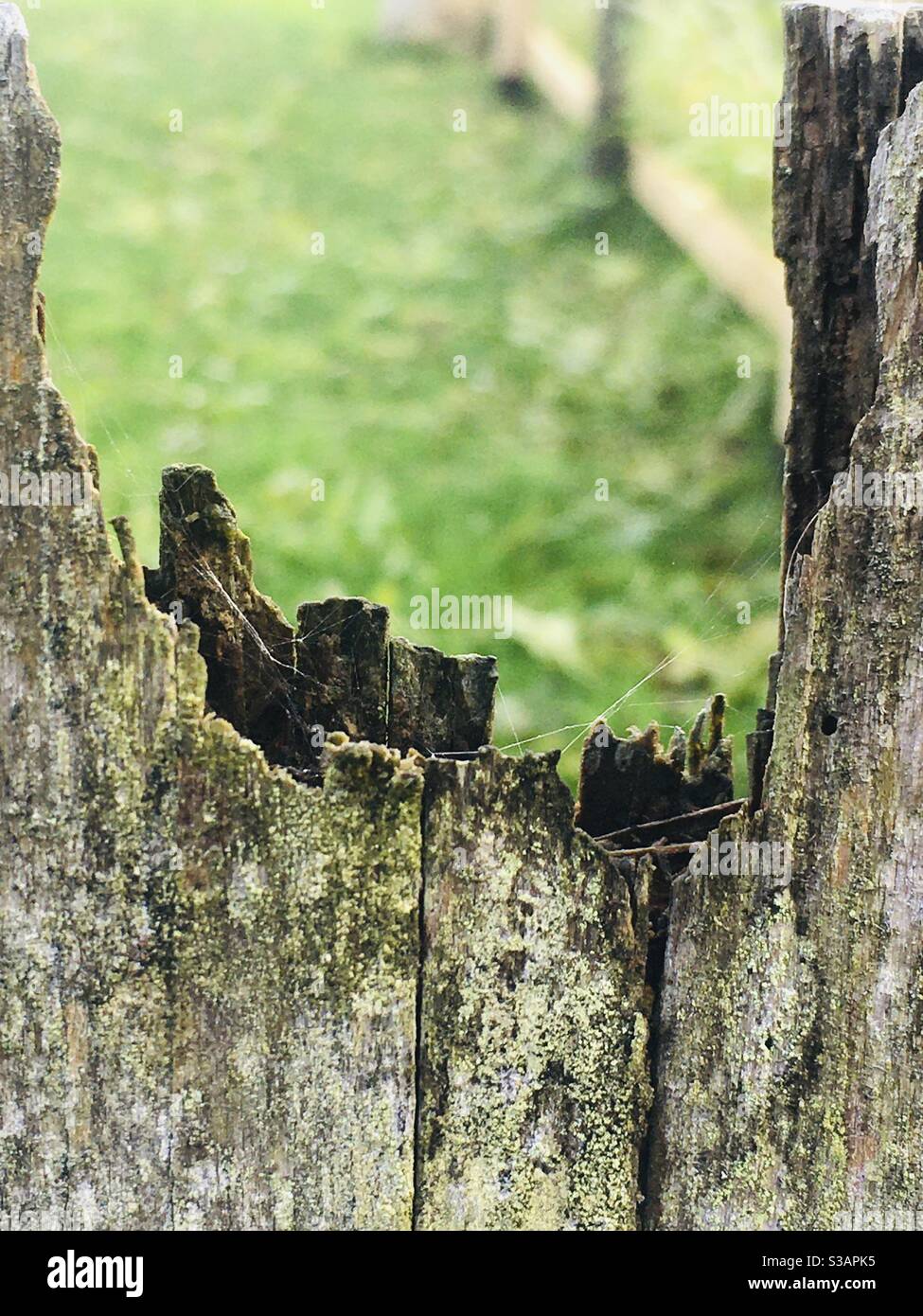 Broken fence hi-res stock photography and images - Alamy