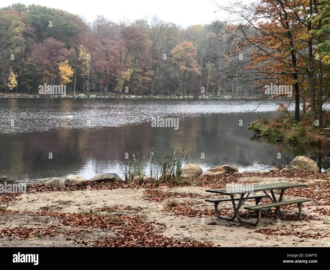 Lakeside fall foliage hi-res stock photography and images - Alamy