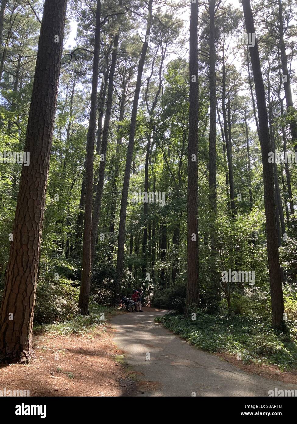 Red wing park hi-res stock photography and images - Alamy