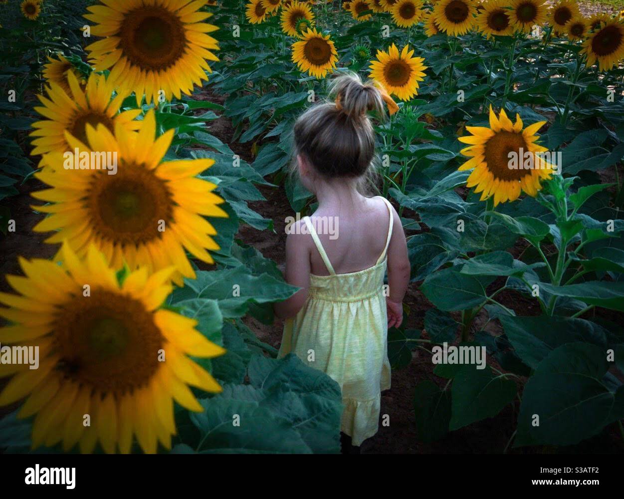 Sunflower princess hi-res stock photography and images - Alamy