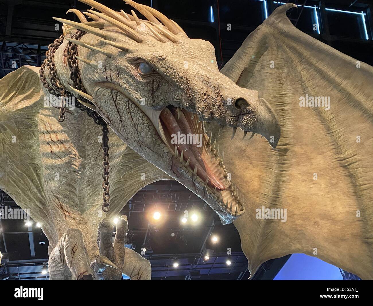 Warner brother hi-res stock photography and images - Alamy