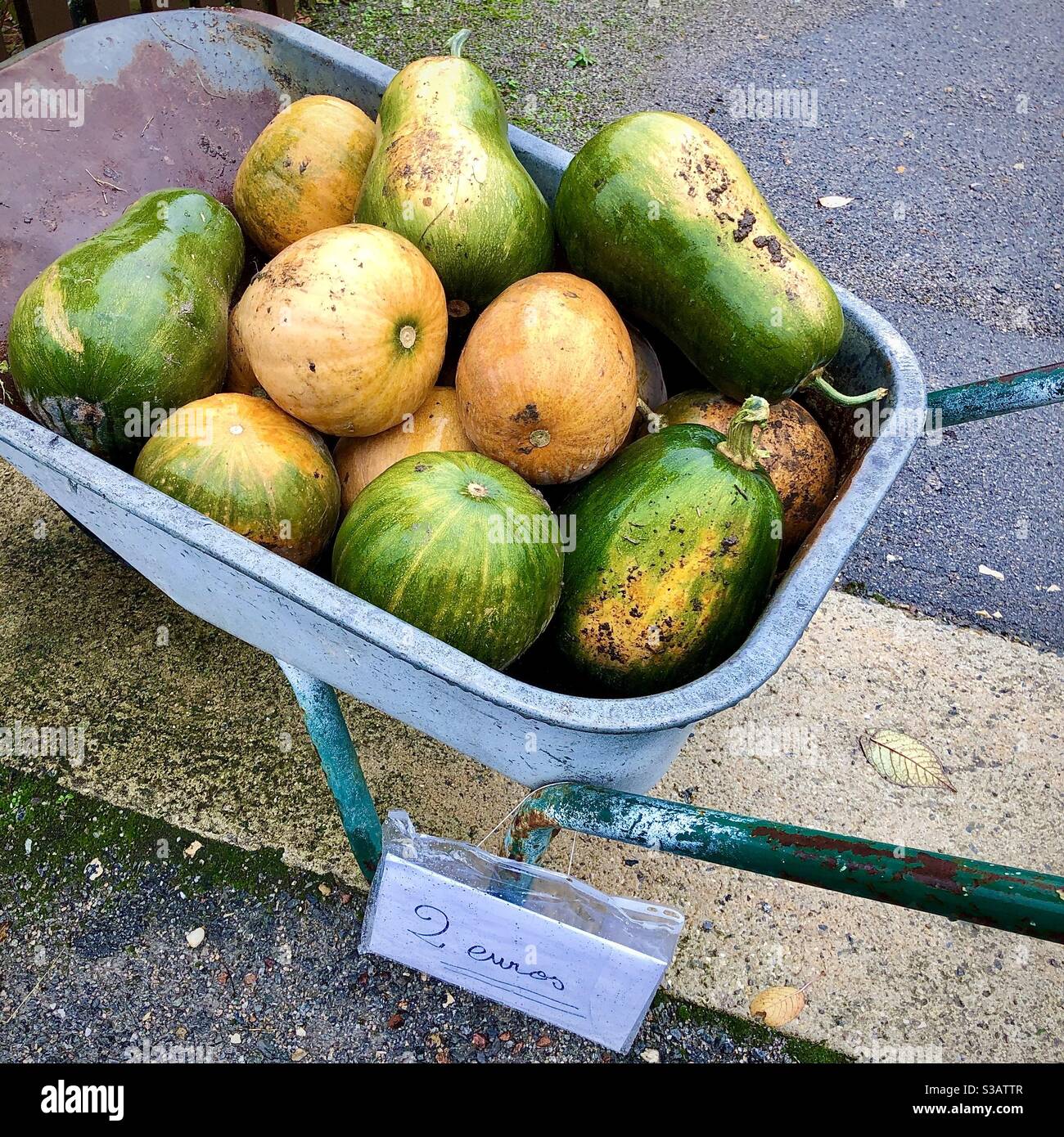 Roadside wheelbarrow loaded with squash and pumpkin fruits for sale at ...