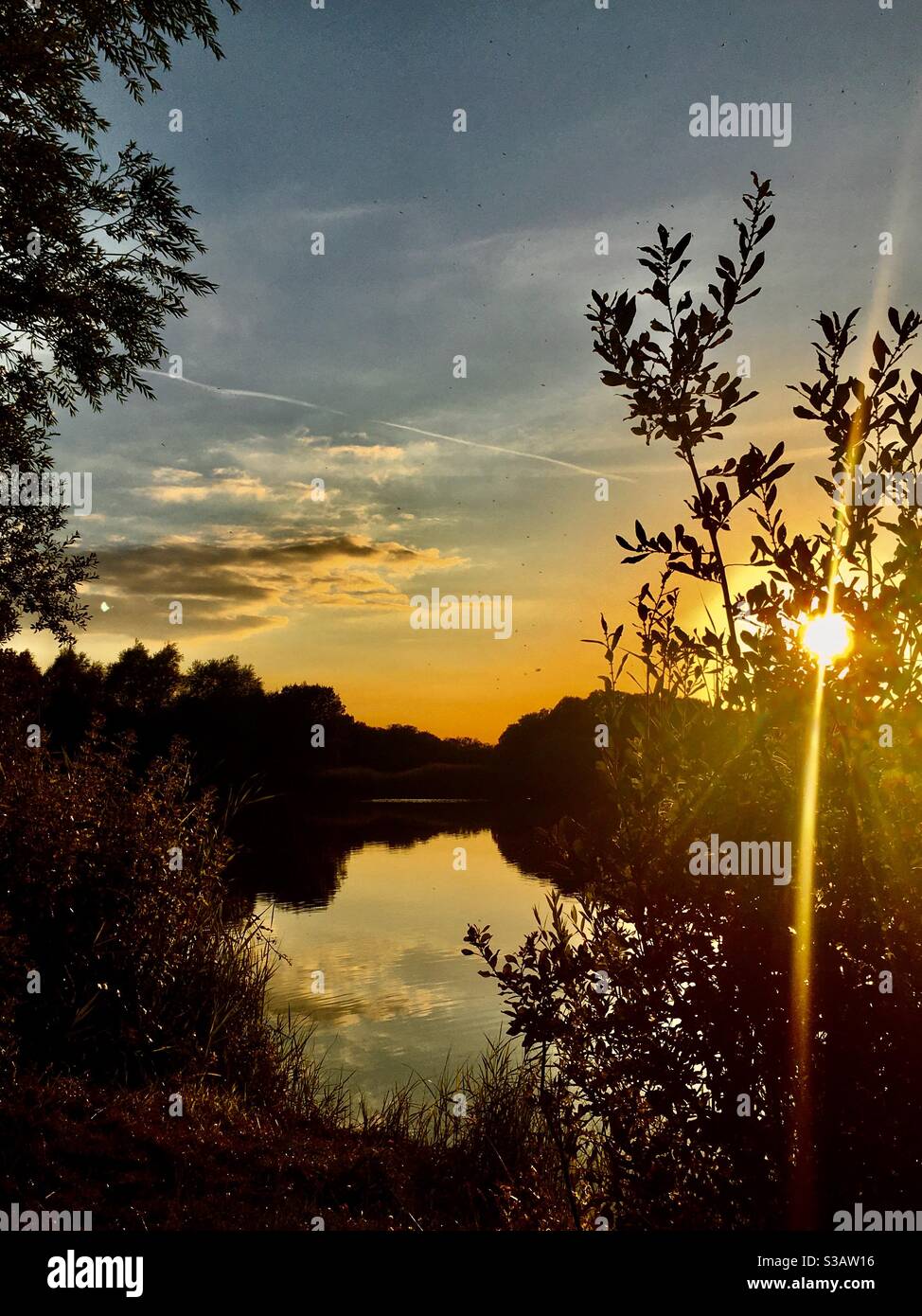 Setting sun on trees hi-res stock photography and images - Alamy