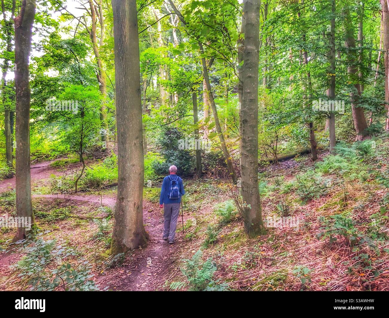 Leisurely walking hi-res stock photography and images - Alamy