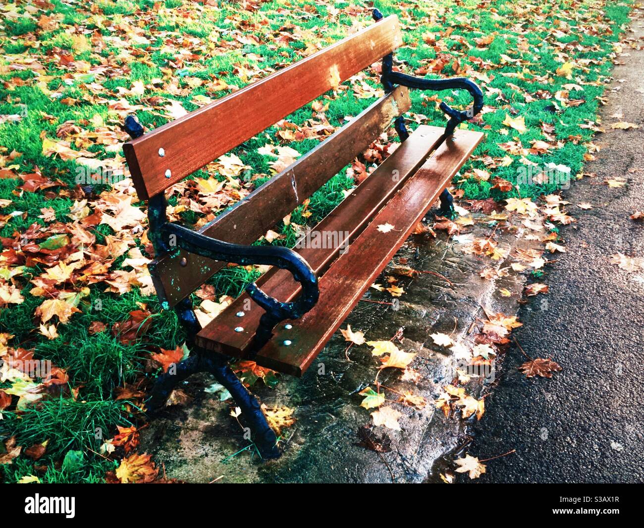 Bench in the rain hi-res stock photography and images - Alamy