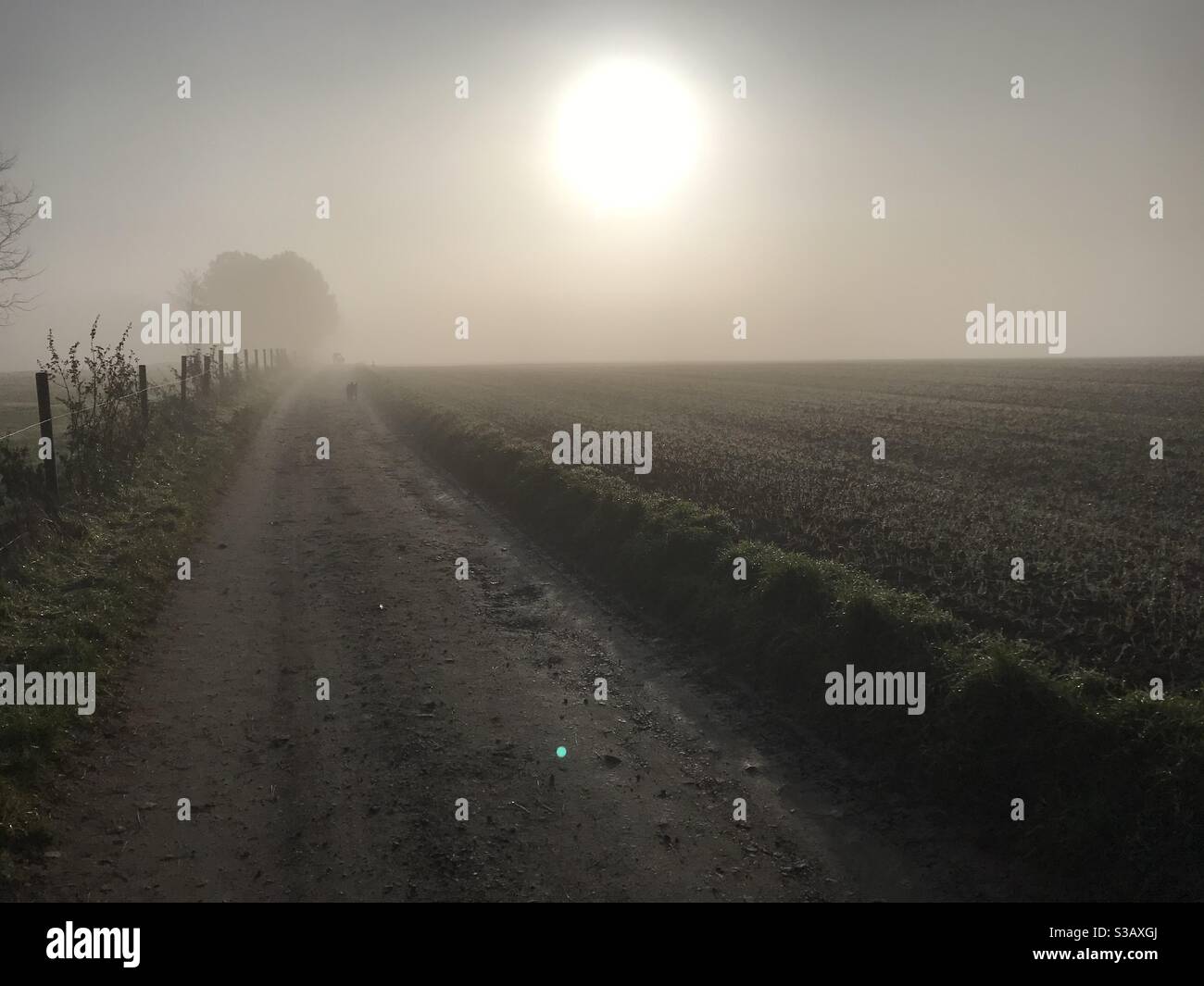 Misty path hi-res stock photography and images - Alamy