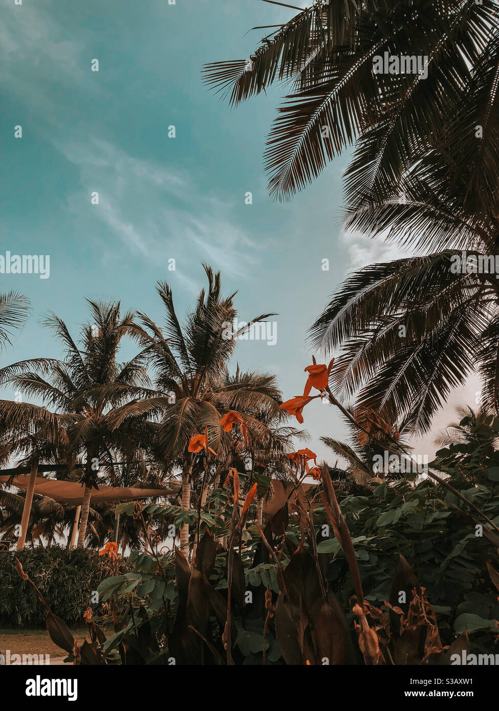 Beautiful day outside hi-res stock photography and images - Alamy