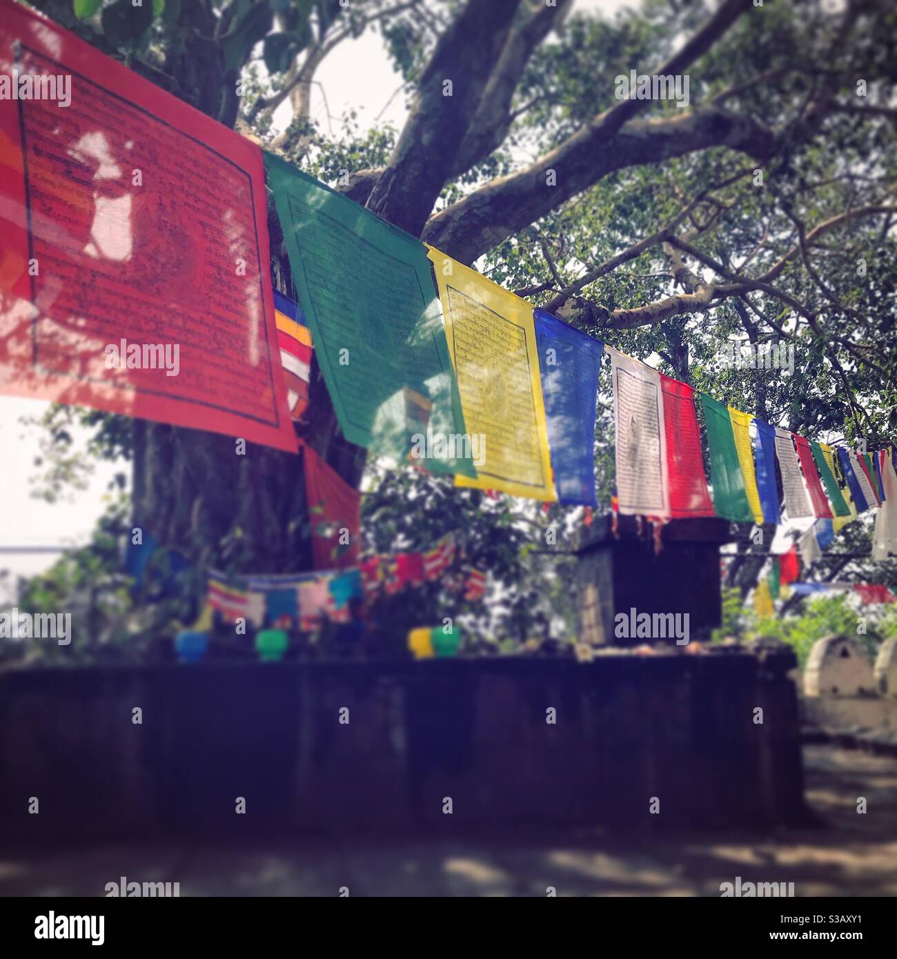 String of prayer flags hi-res stock photography and images - Alamy