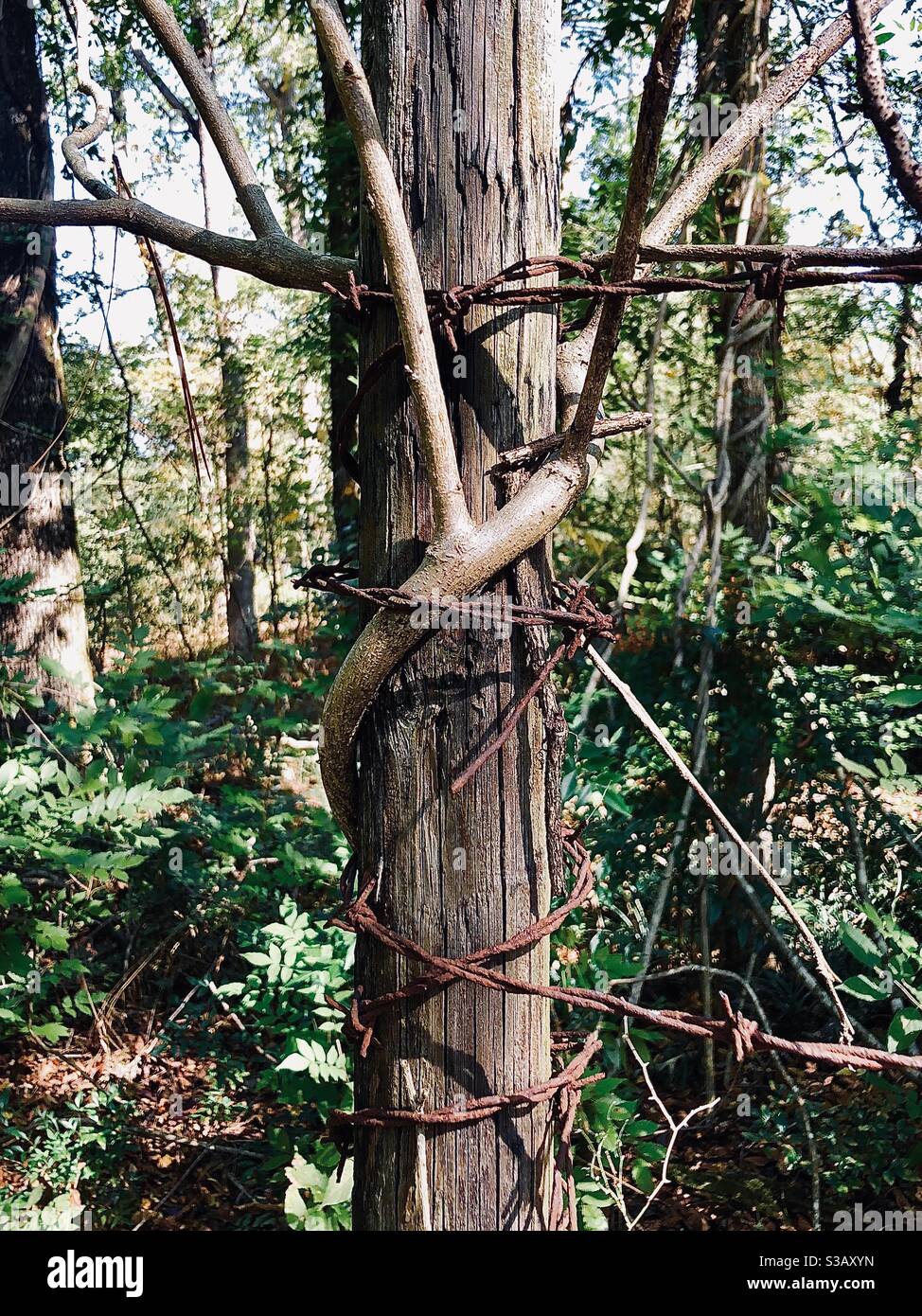 Old corner hi-res stock photography and images - Alamy