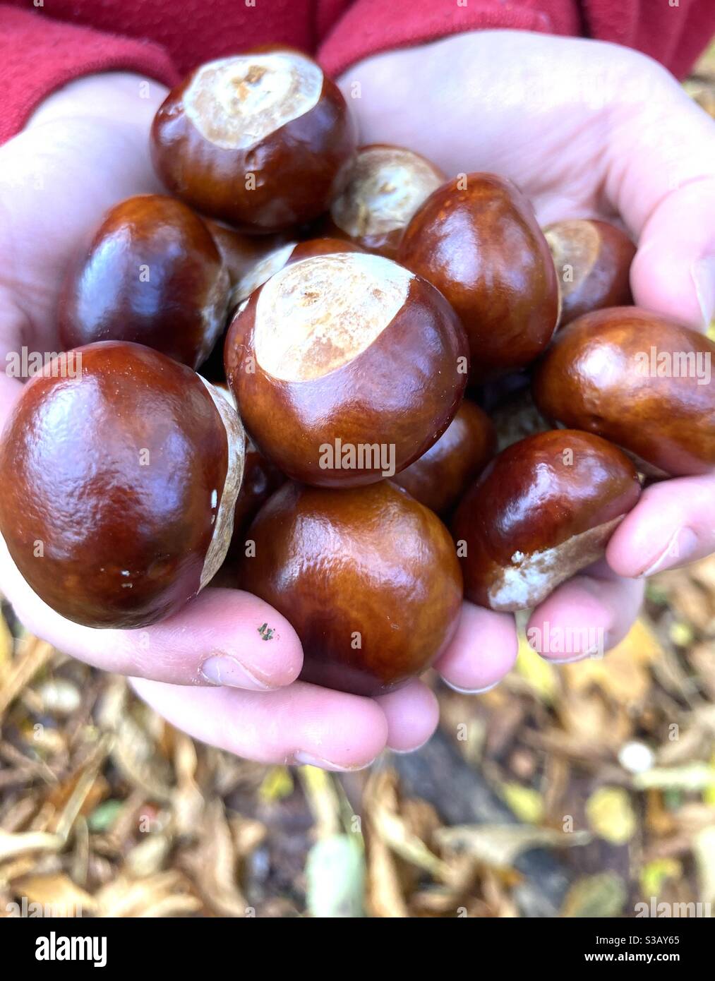 Handfuls hi-res stock photography and images - Alamy