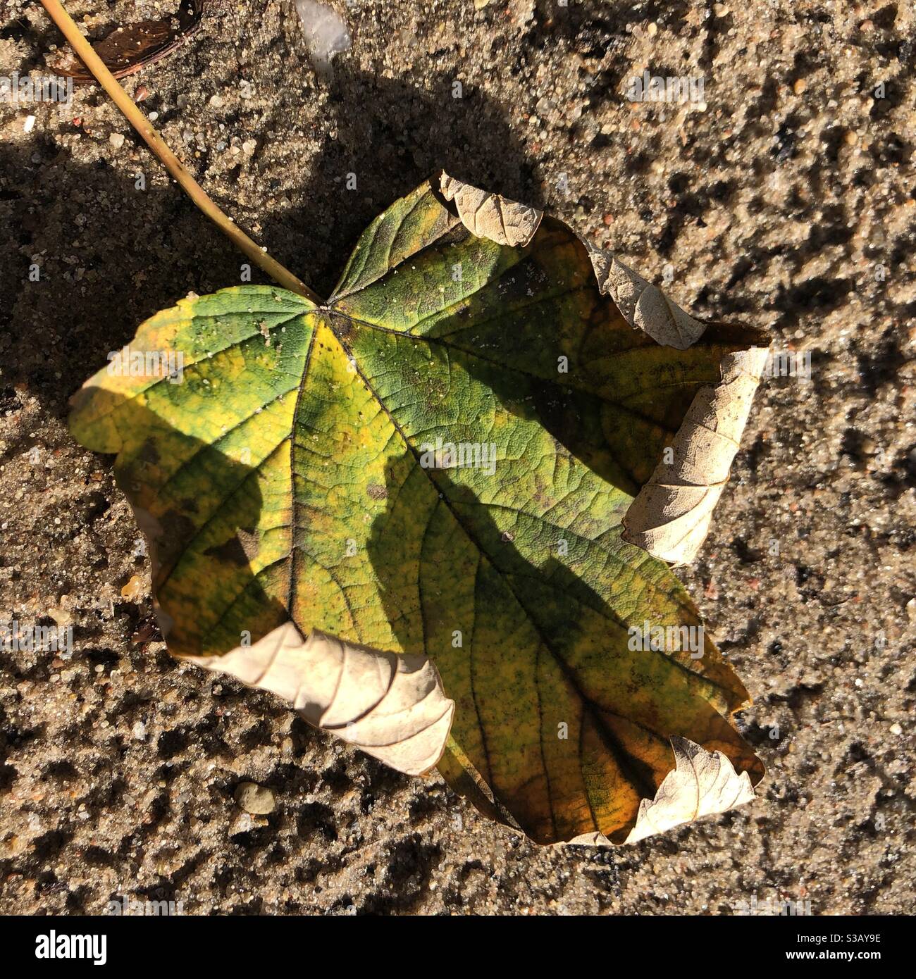 Shade of colours hi-res stock photography and images - Alamy