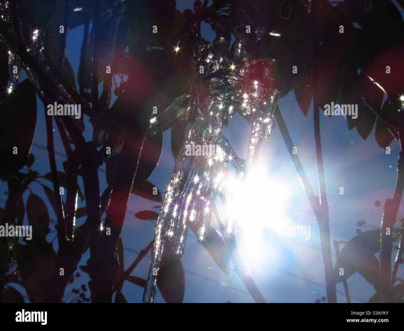 Ice and sun hi-res stock photography and images - Alamy