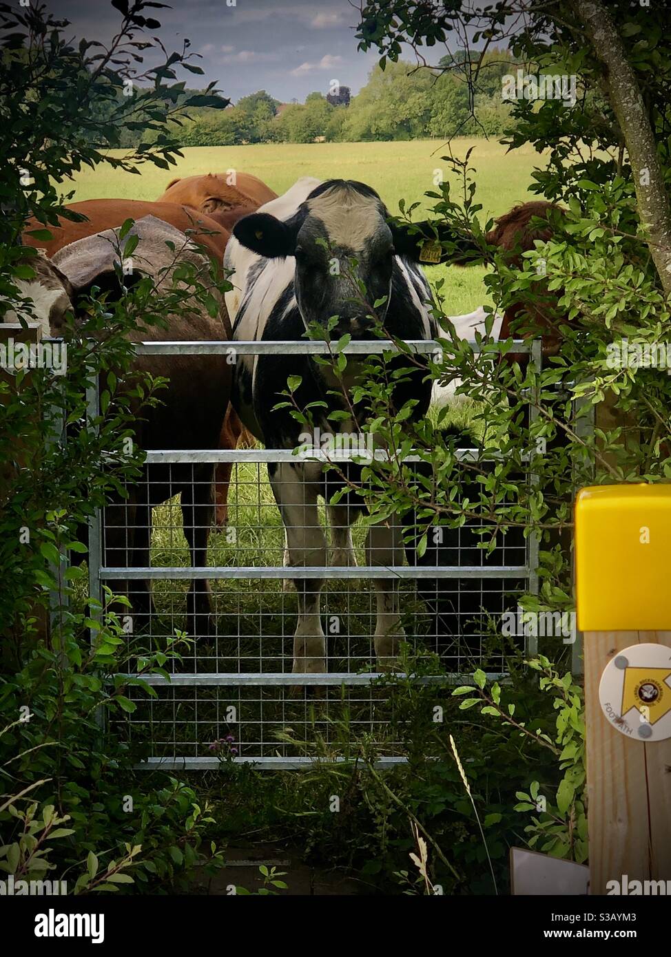 Alternative route hi-res stock photography and images - Alamy