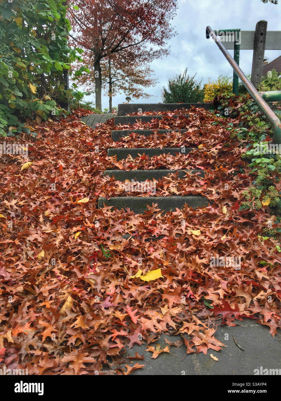 Falling up stairs hi-res stock photography and images - Alamy