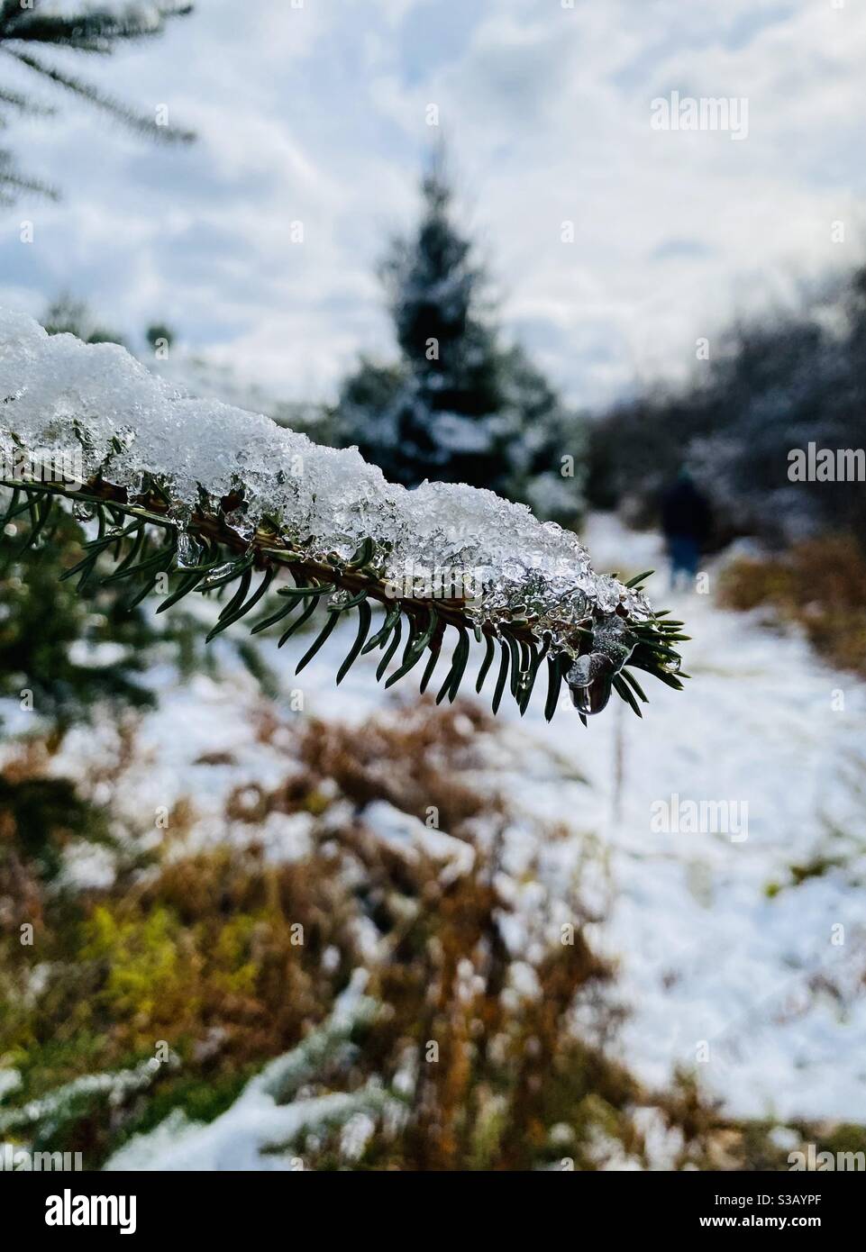 Begins to melt hi-res stock photography and images - Alamy