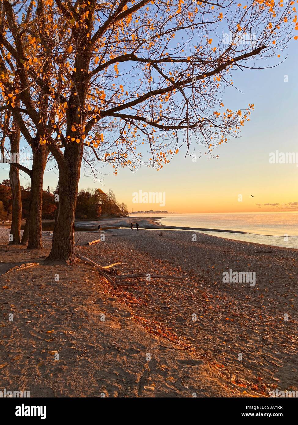 Fall beach hi-res stock photography and images - Alamy