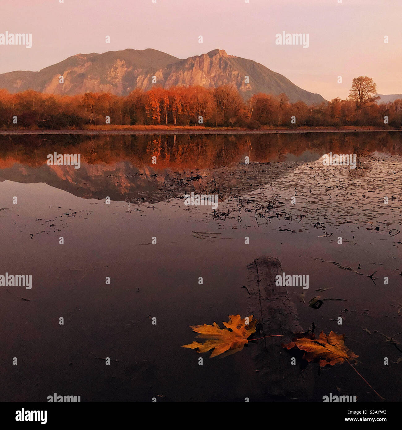 Fall in North Cascades Stock Photo - Alamy