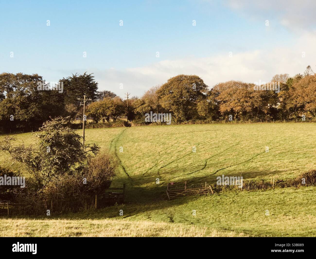 Cornish field hi-res stock photography and images - Alamy