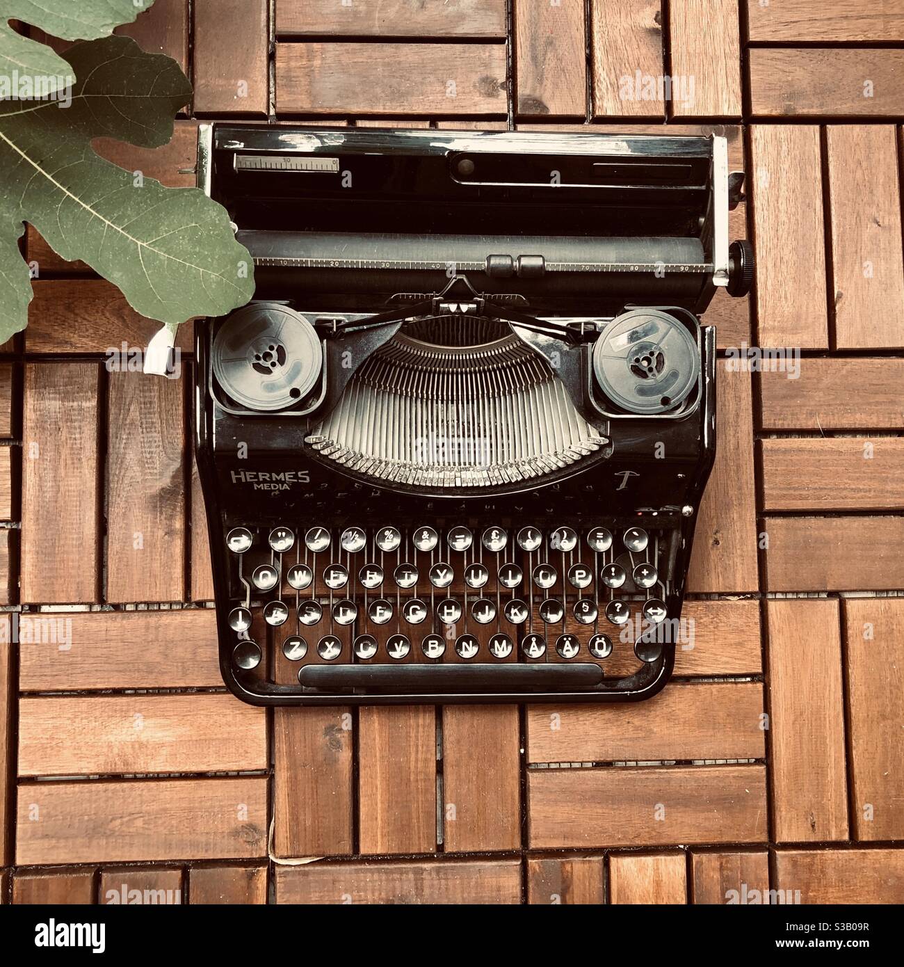 Leaf type hi-res stock photography and images - Alamy