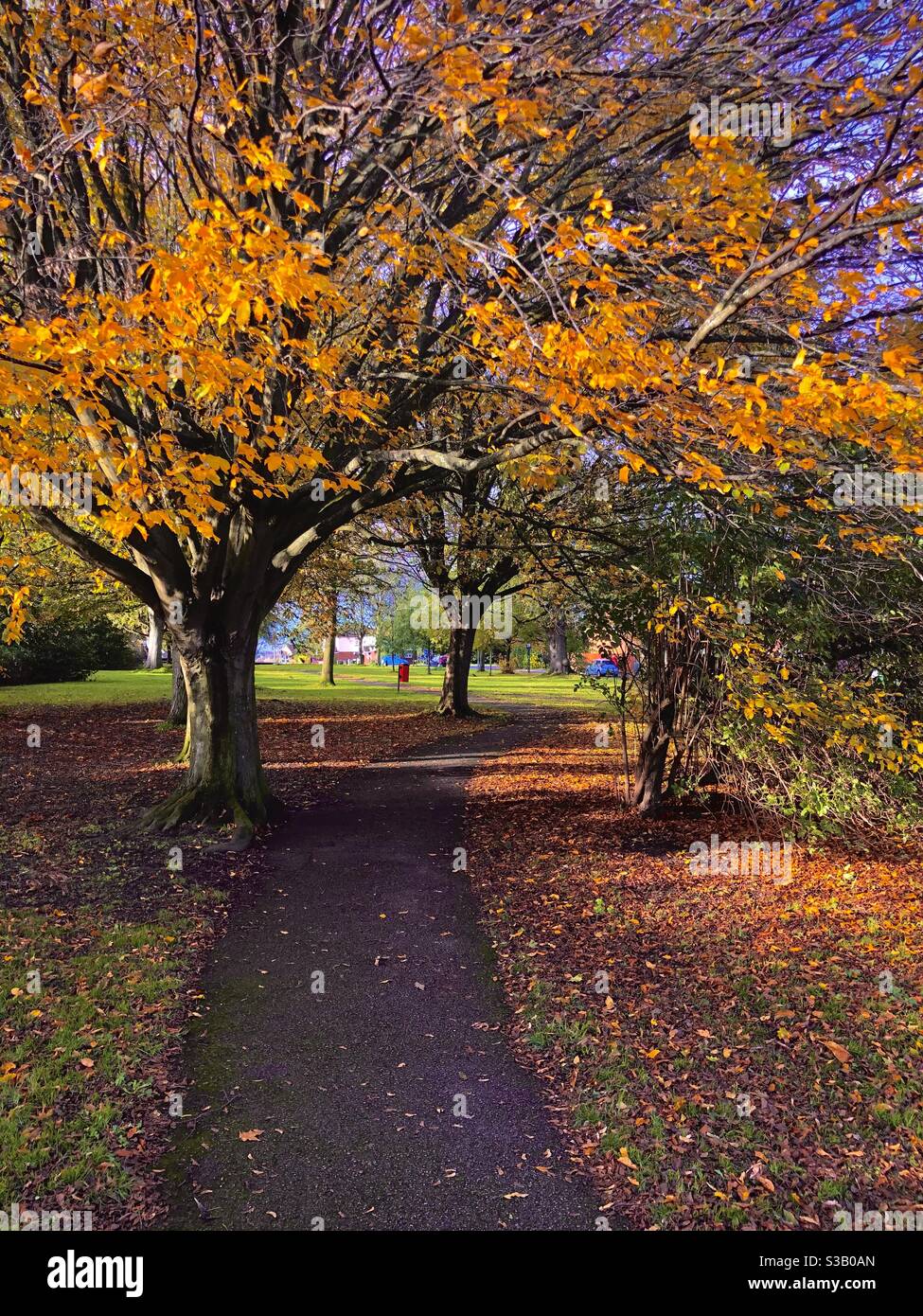 Walk with leaves hi-res stock photography and images - Alamy