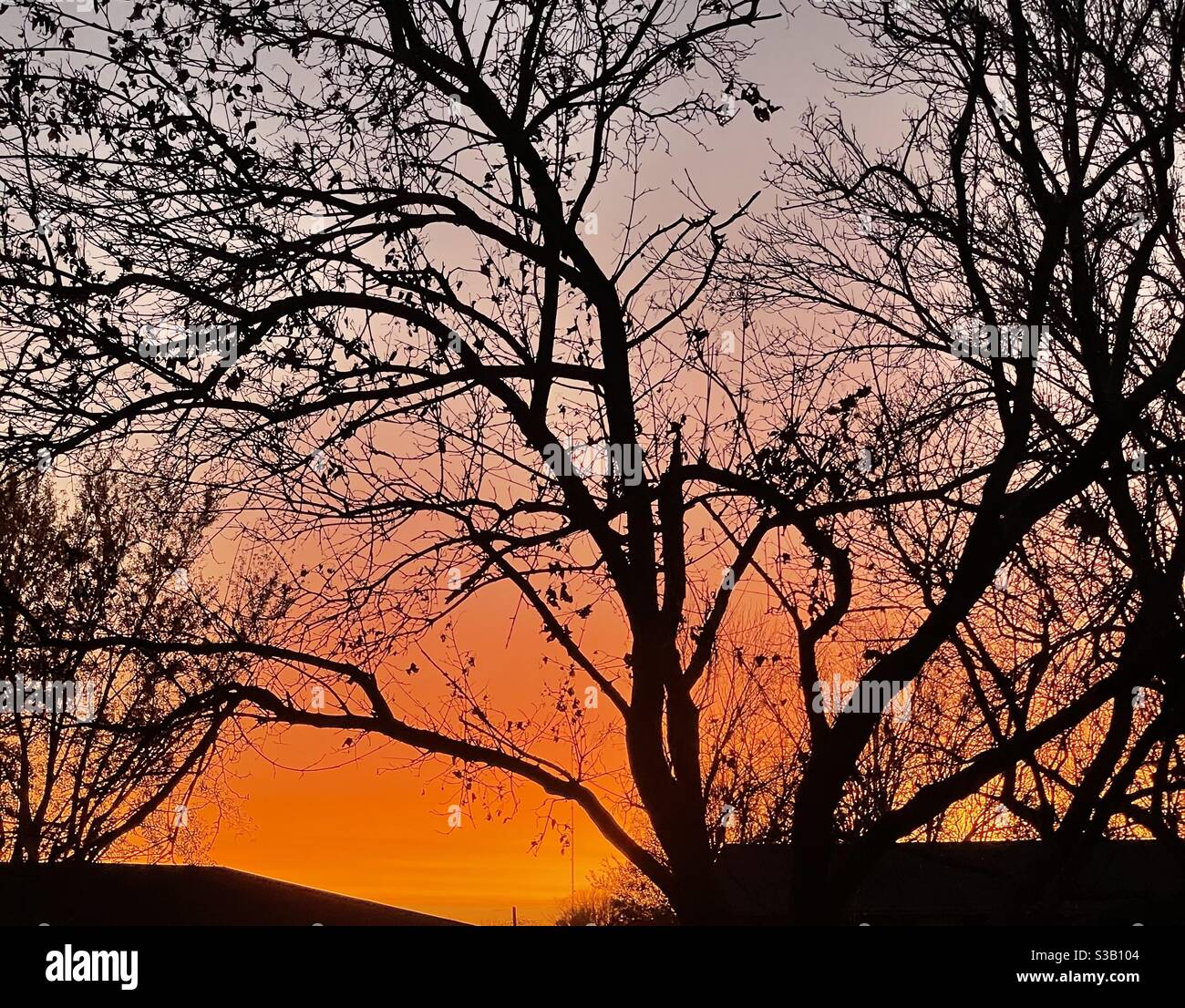Fall silhouette hi-res stock photography and images - Alamy