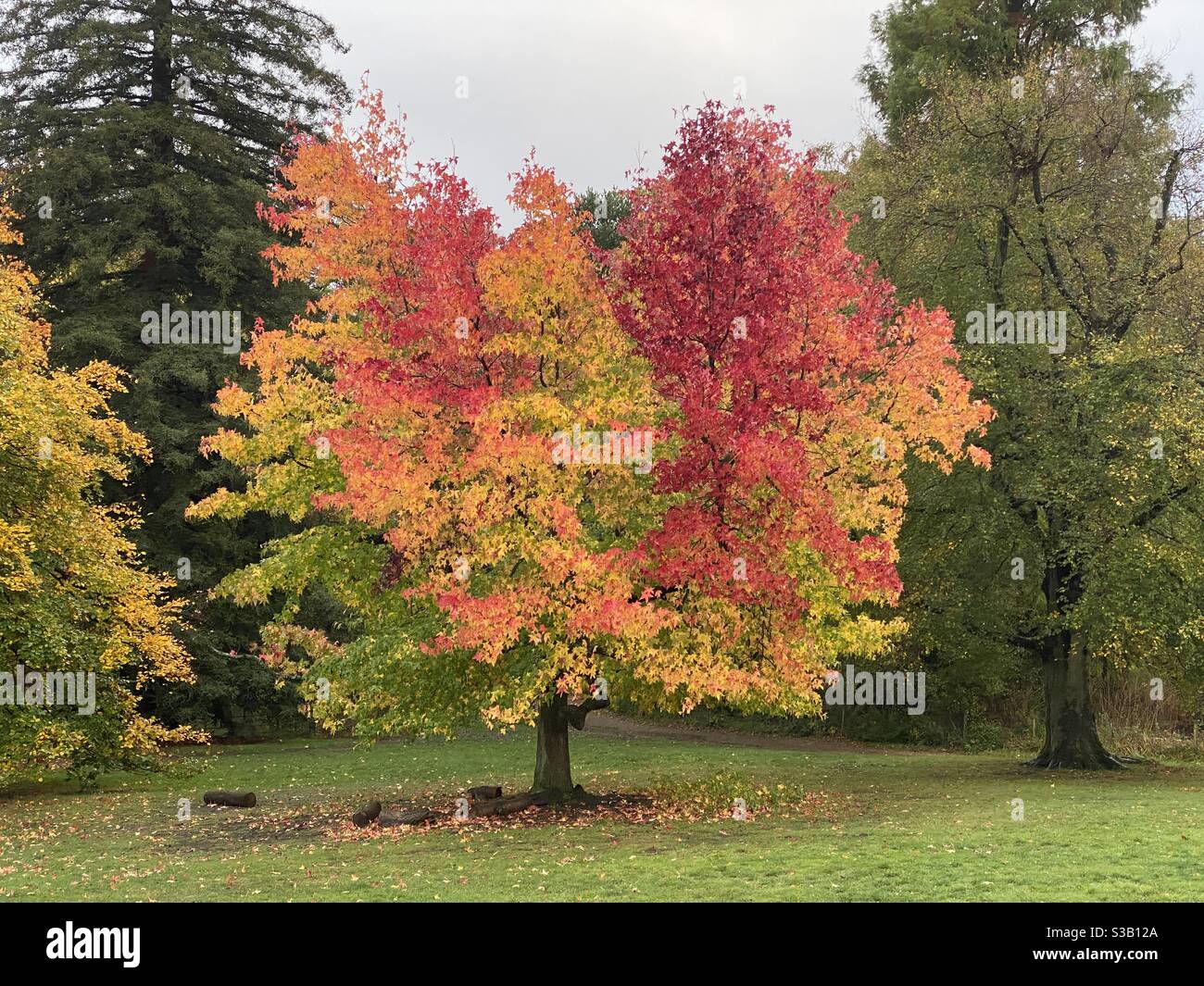 N in colour hi-res stock photography and images - Alamy