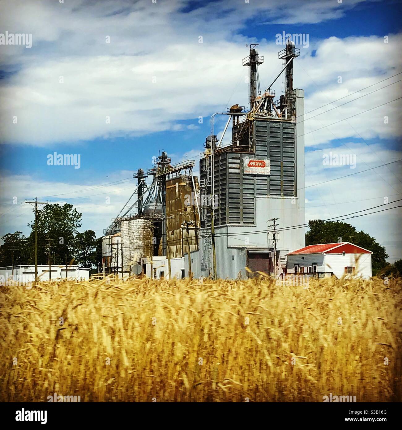 Factory farm hi-res stock photography and images - Alamy